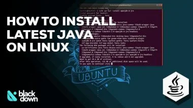 Forgot Ubuntu Password? Step-by-Step Guide to Reset & Recover