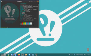 10 Best Linux Distros for Programming and Developers in 2025