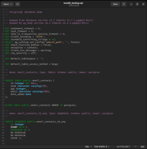 How to Export and Import Data in PostgreSQL: A Detailed Guide - Blackdown