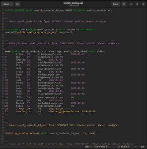 How to Export and Import Data in PostgreSQL: A Detailed Guide - Blackdown